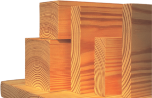 Home - Southern Forest Products Association