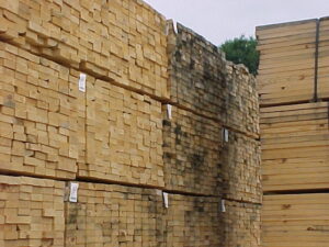 Southern Pine Mold and Moisture - SFPA