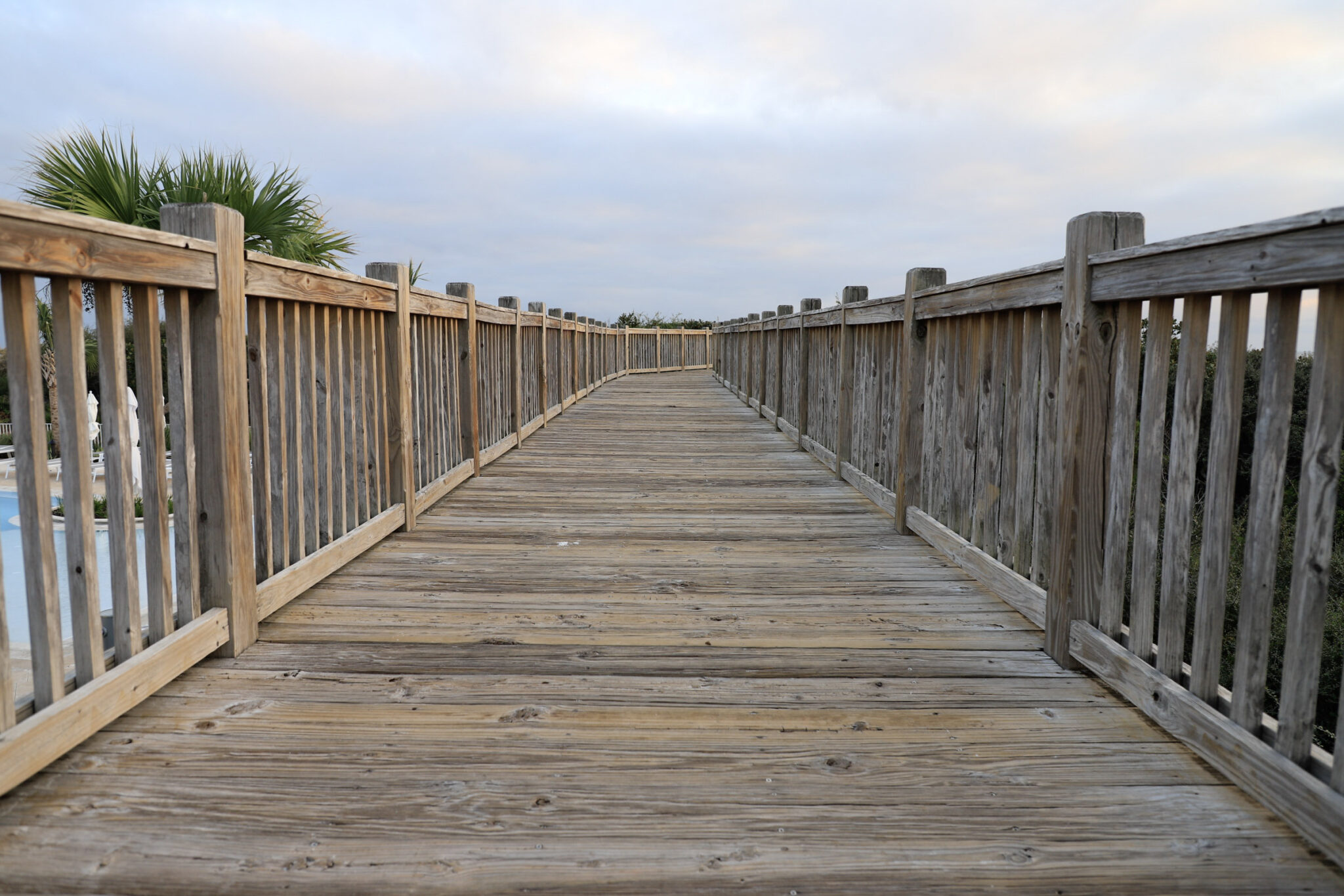 Pressure-Treated Southern Pine - SFPA